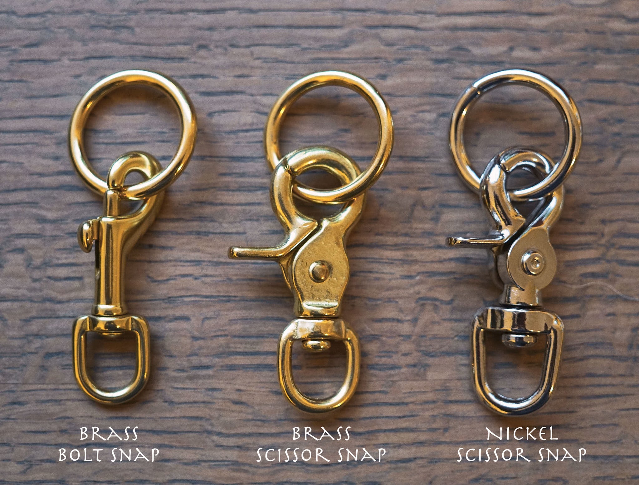 Thin Dog Leash | Small Dog Leash – WanderDog Designs