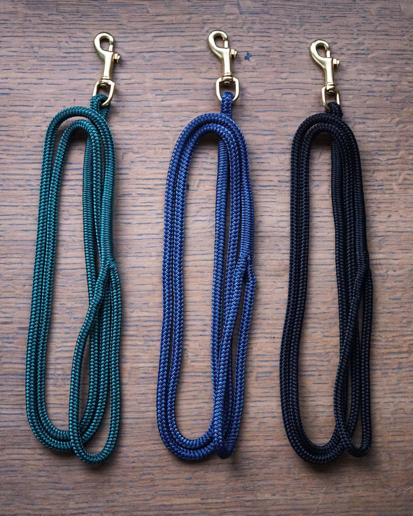 Thin Dog Leash | Small Dog Leash – WanderDog Designs