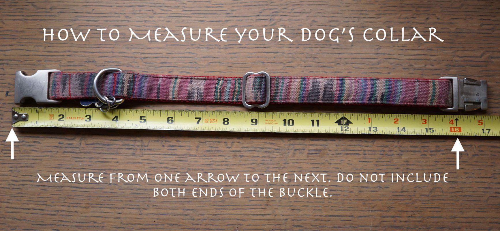Custom Dog Collar | Rope and Leather Collar | WanderDog Designs