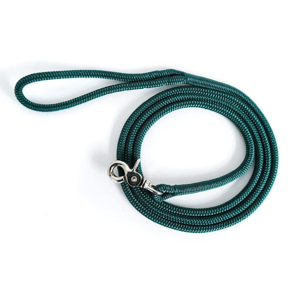 Thin Dog Leash | Small Dog Leash – WanderDog Designs
