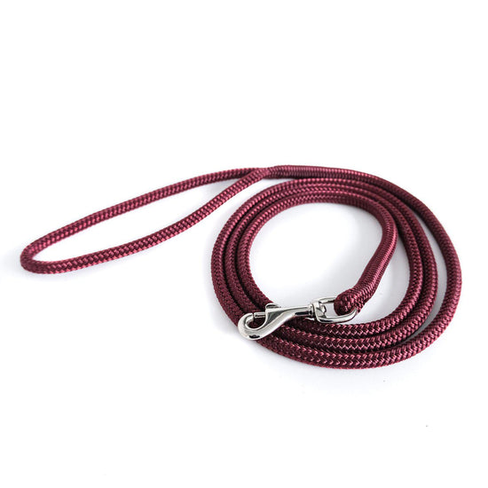 Thin Dog Leash | Small Dog Leash – WanderDog Designs
